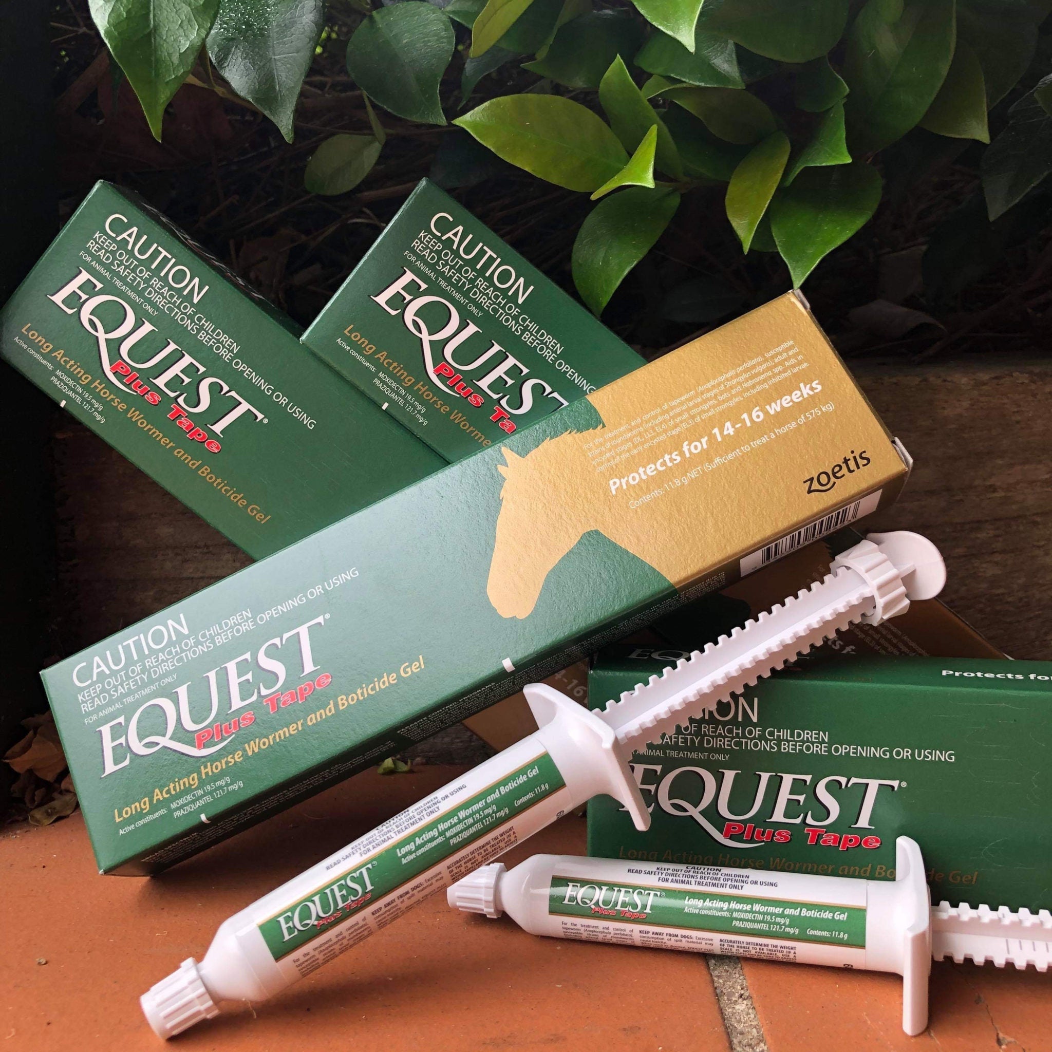 Horse Health: Wormers – Saddleworld Dural