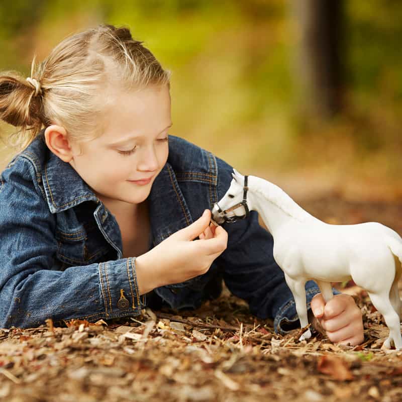 Giftware | Saddleworld Dural