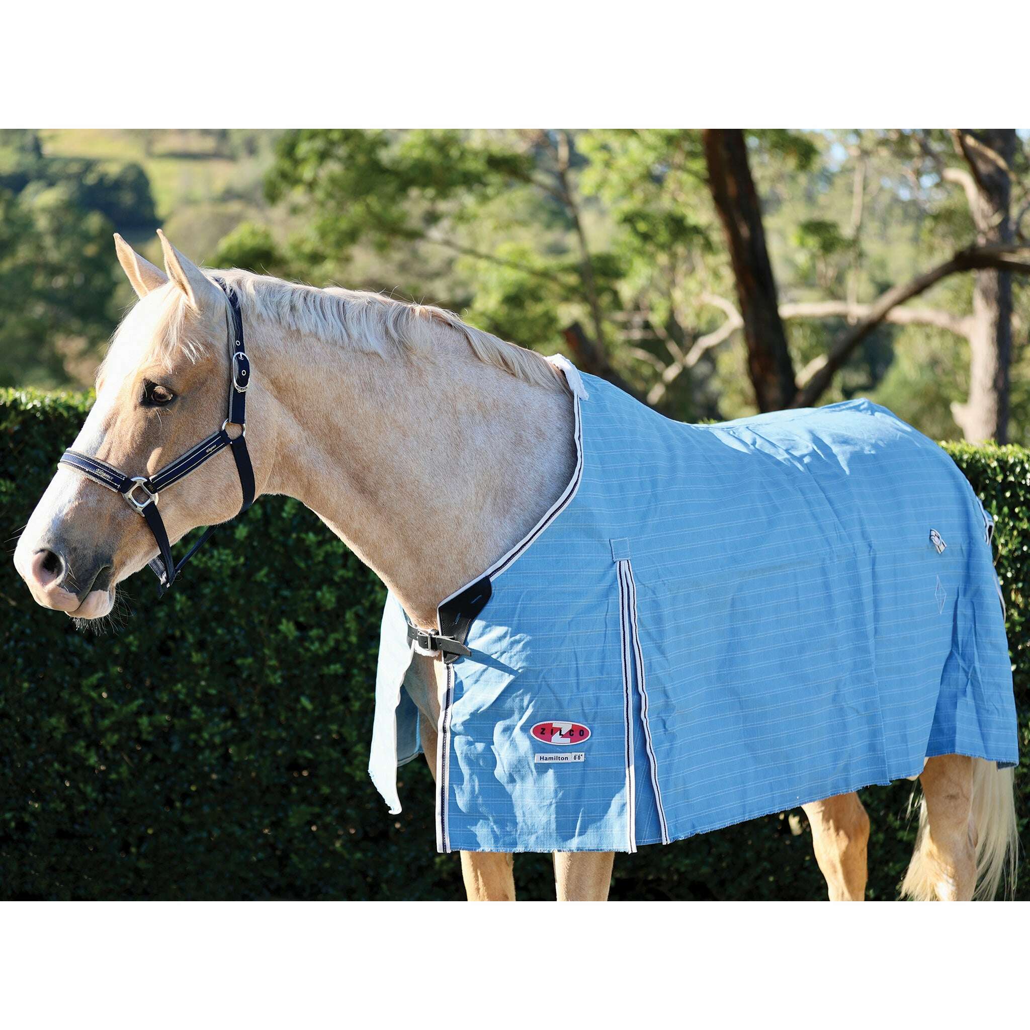 Zilco Hamilton Rug – Saddleworld Dural