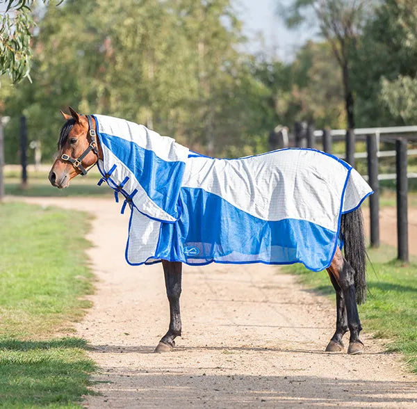 Eurohunter Airflow Combo – Saddleworld Dural