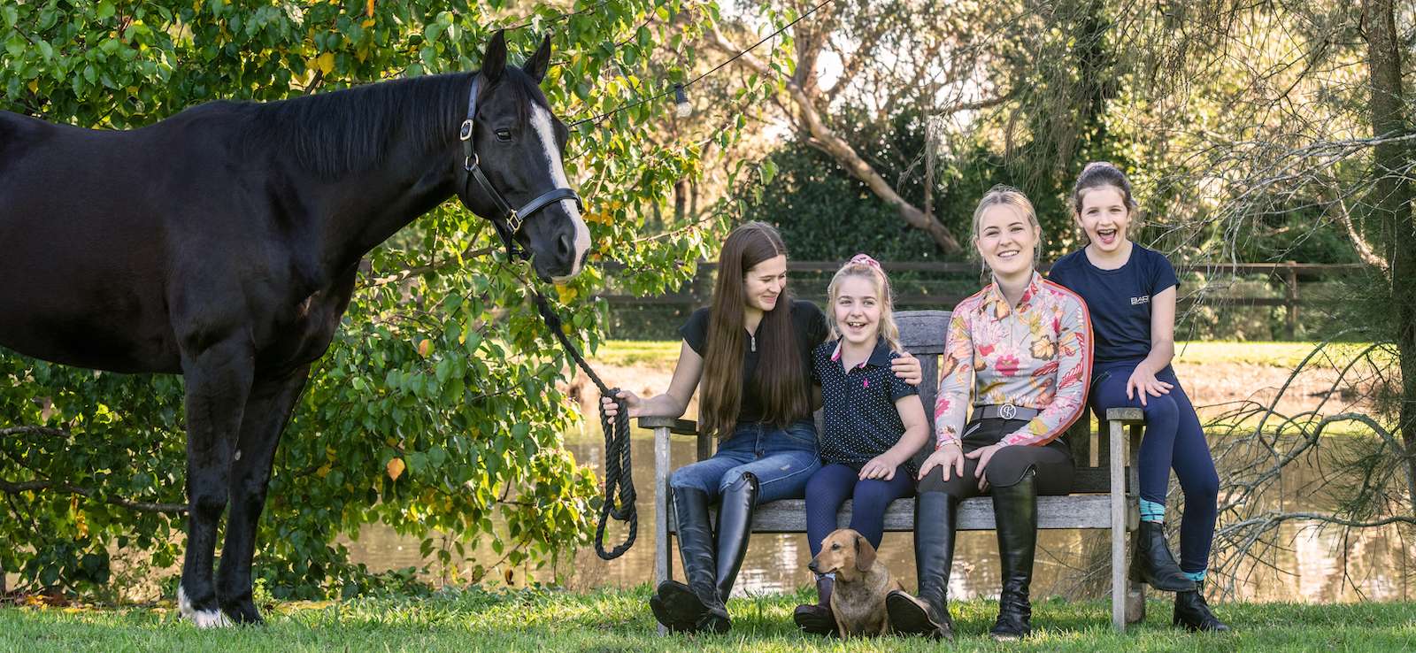Premium Dressage Saddles & Mounts | Gear Up for Success – Saddleworld Dural