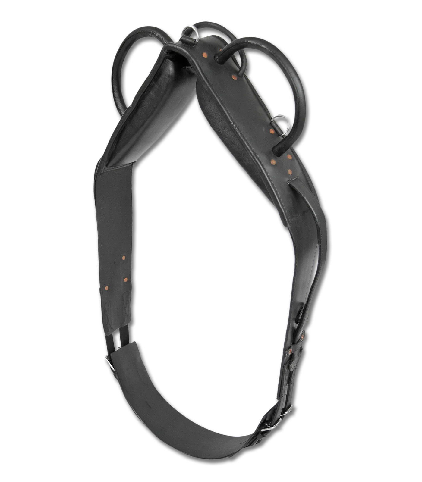 Waldhausen Competition Vaulting & Lunging Surcingle Black – Saddleworld ...