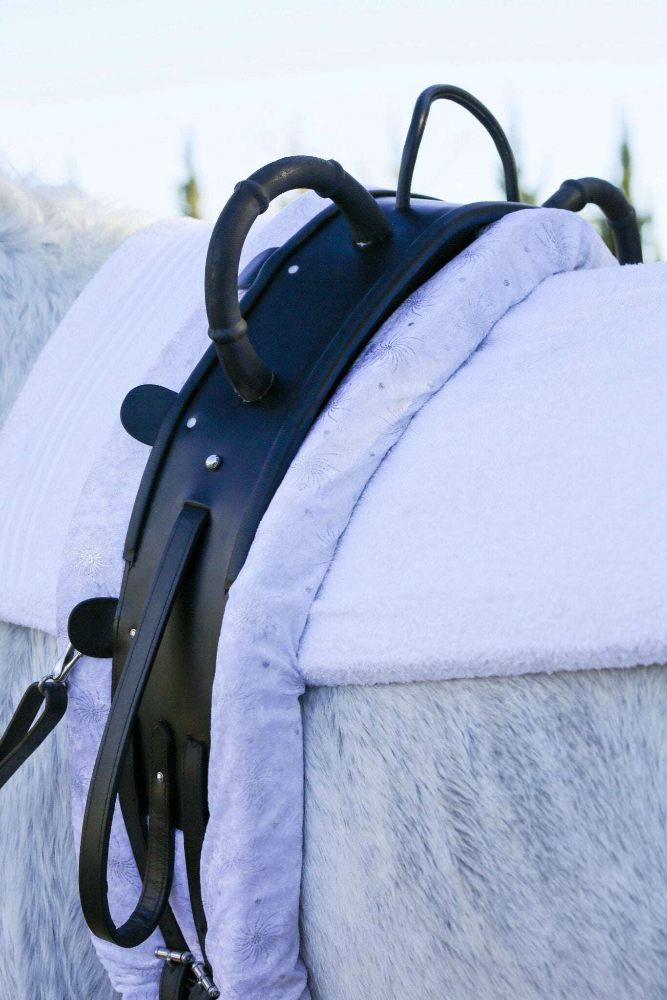 Wembley "Star" Vaulting & Lunging Surcingle – Saddleworld Dural