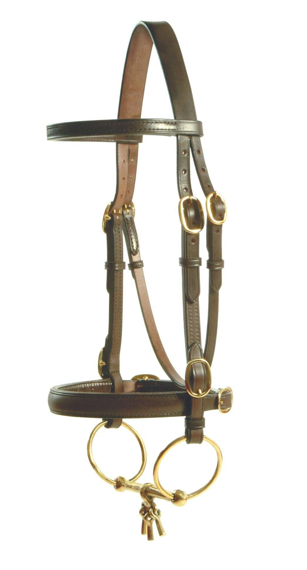 Led Bridle – Saddleworld Dural