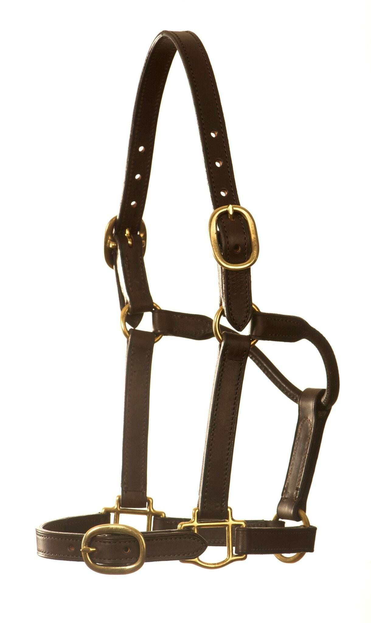 Full Size Halter FL200 – Saddleworld Dural